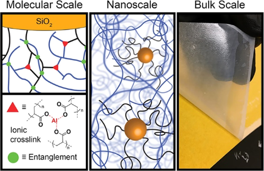Research - The Macfarlane Lab